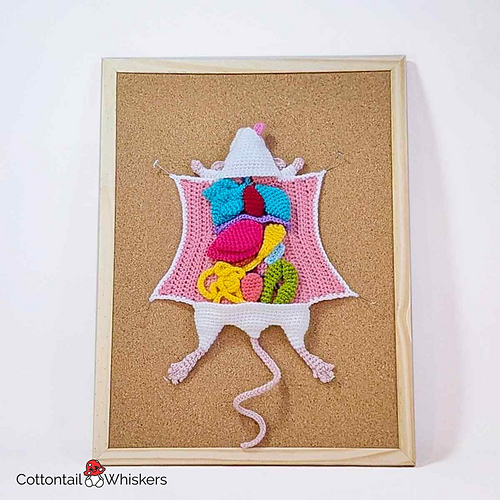 Ravelry: Rat Dissection pattern by Bea King