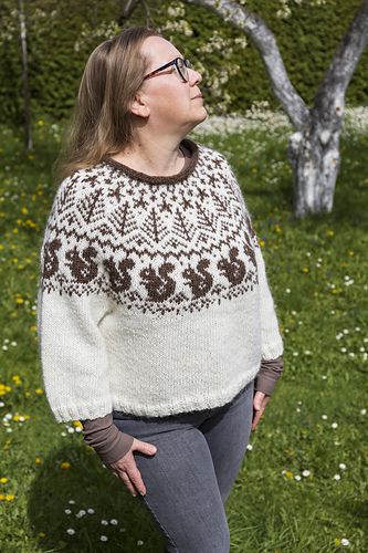 Ravelry: SQUIRREL Icelandic Sweater for Adults and Kids pattern by Olga ...