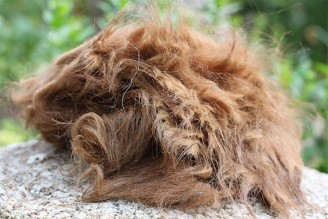 Ravelry: SpinSpun Raw Guanaco Fibre