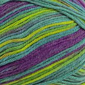 Ravelry: Premier Yarns Garden