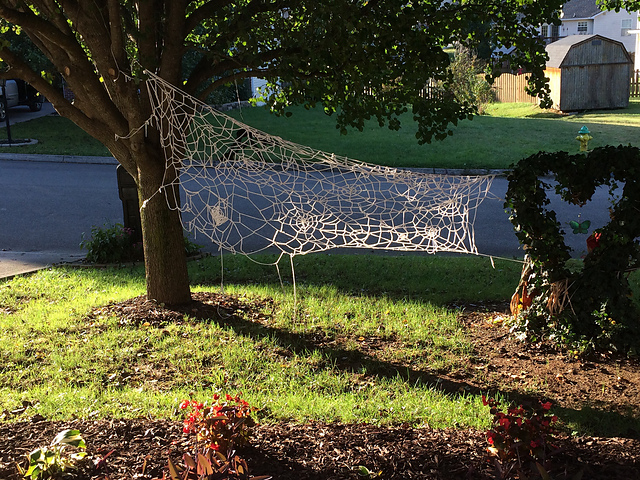 Ravelry: Bluebird99's Giant outdoor spiderweb
