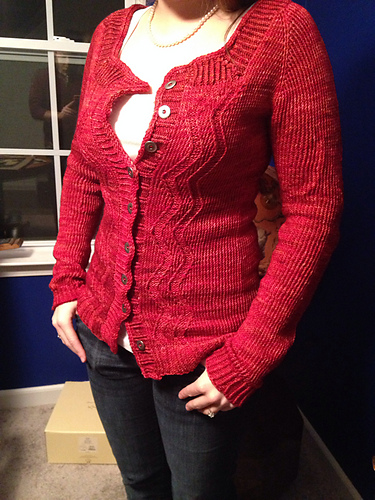 Ravelry: Alpine Cardigan pattern by schneckenstrick