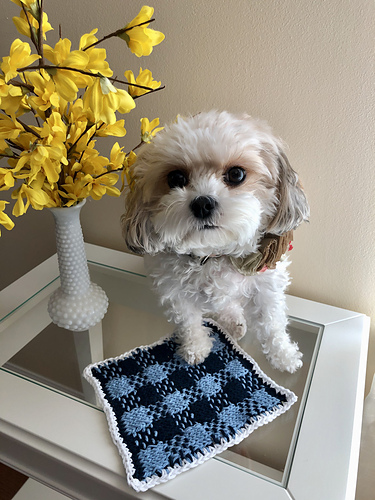 Ravelry: Chilton Check Cloth pattern by Brownie Knits