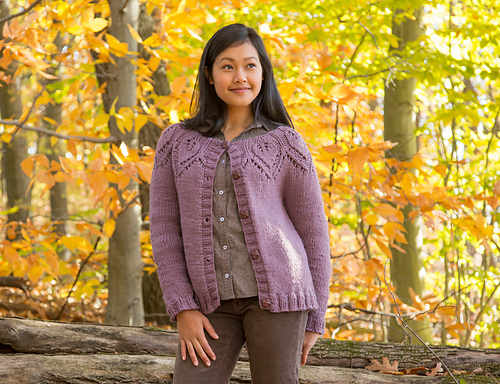 Ravelry: Flying South pattern by Susan Mills Knits