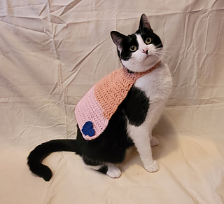 Ravelry: Cat Cape pattern by Tegan Bailey