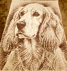 Ravelry: Overlay Mosaic "COCKER SPANIEL" pattern by Carmen Hernández ...