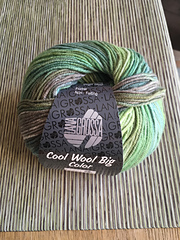 Ravelry: Lana Grossa Cool Wool Big Color