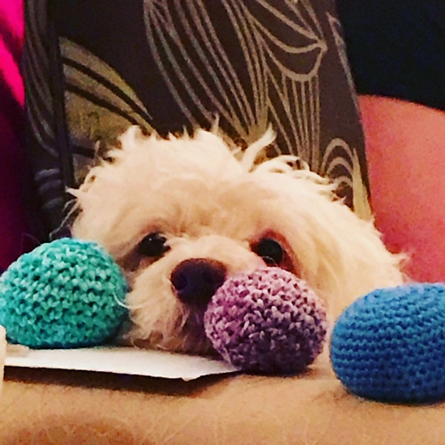 Ravelry: The Retro Hacky Sack pattern by Pam Carr