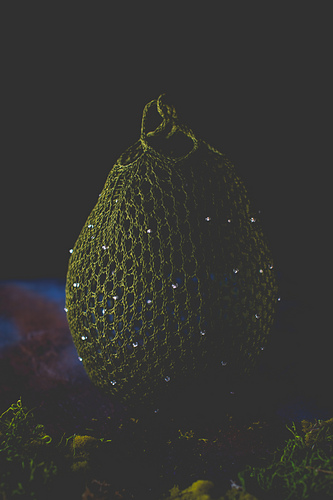 Ravelry: Forager/Lights in the Forest pattern by raena ballantyne demaris