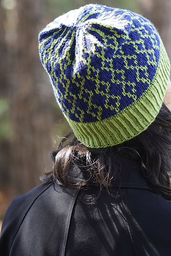 Ravelry: Going Vertical Hat pattern by Lisa Ellis