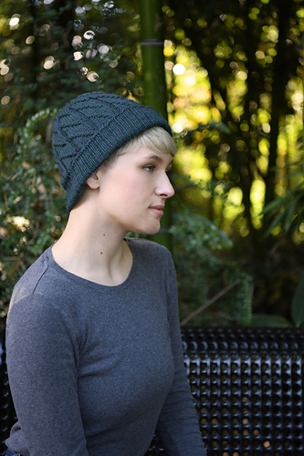 Ravelry: Spiral Twist Hat pattern by Shannon Dunbabin