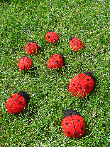Ravelry: Knitted Ladybird pattern by Joelle Finck