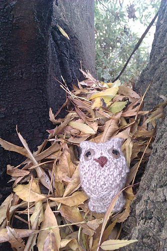 Ravelry: Oisin owl pattern by Pauline Gallagher Designs