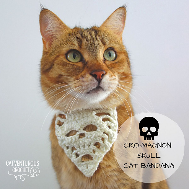 Ravelry: Cro-Magnon Skull Cat Bandana pattern by Charlotte Gillbanks