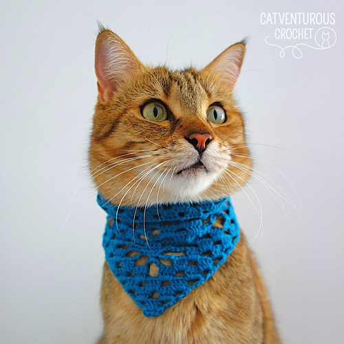 Ravelry: Fallen Star Button Up Cat Bandana pattern by Charlotte Aimee