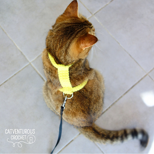 Ravelry: Semla H-Style Cat Harness pattern by Charlotte Aimee