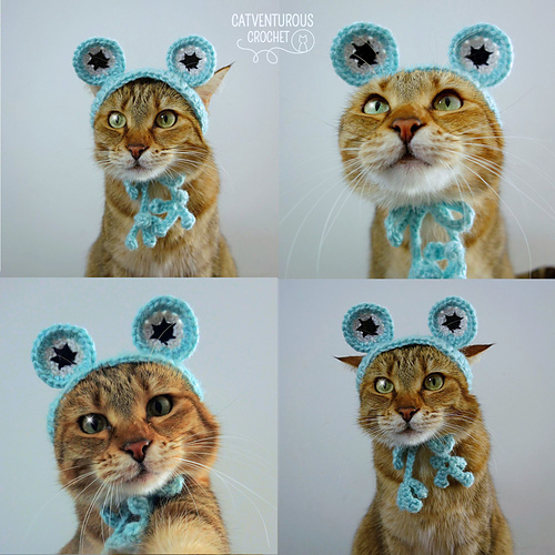 Ravelry: Figaro Frog Cat Hat pattern by Charlotte Aimee