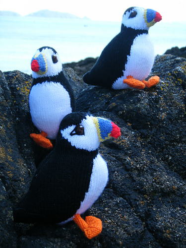 Ravelry: Puffin pattern by Sara Hall