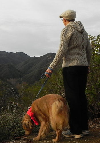 Ravelry: Iain pattern by Jennifer Hagan