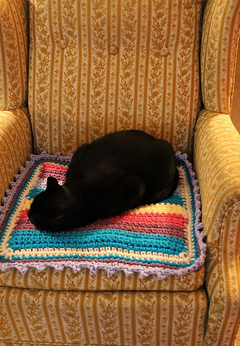 Ravelry: CorrineMB's Crazy Cat Lady Catghan