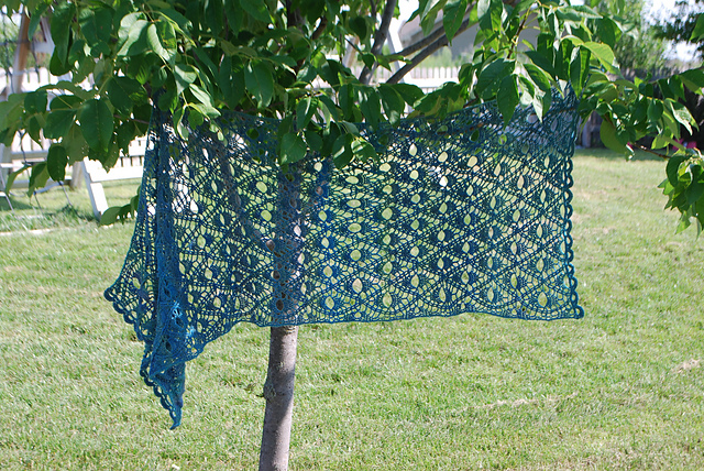 Ravelry: Peek-A-Boo Eyes Stole pattern by Robin Abdullah