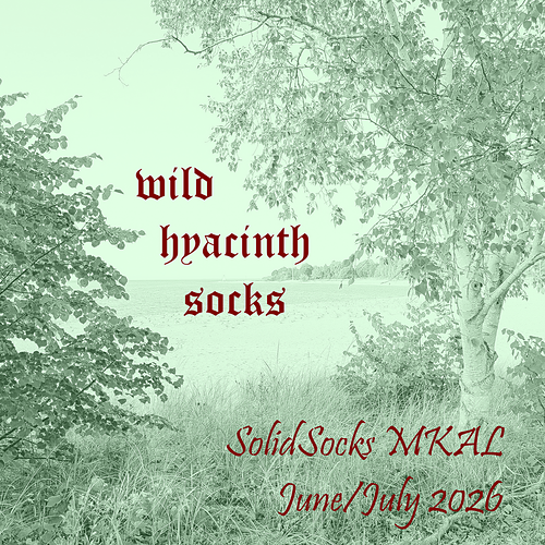 Ravelry: Wild Hyacinth Socks pattern by Shuyi Wu