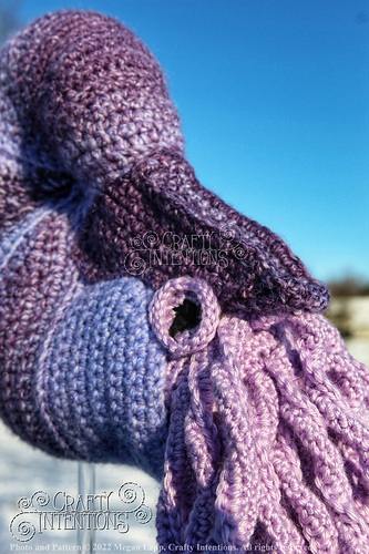 Ravelry: Nautilus pattern by Megan Lapp