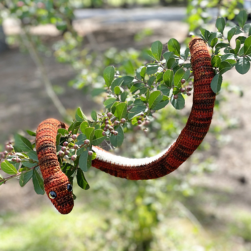 Ravelry: Betty the Ball Python Snake pattern by Charlyn Smith