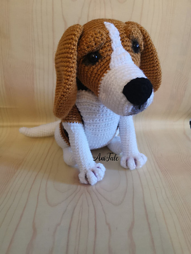 Ben Beagle Hund: Fullstendig oversikt over designet - Strikkekalkulator
