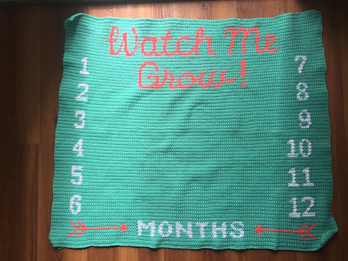 Ravelry: Baby Growth Graph Blanket pattern by Jessica Cooper