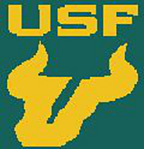 Ravelry: USF Bulls pattern by Maria Merlino