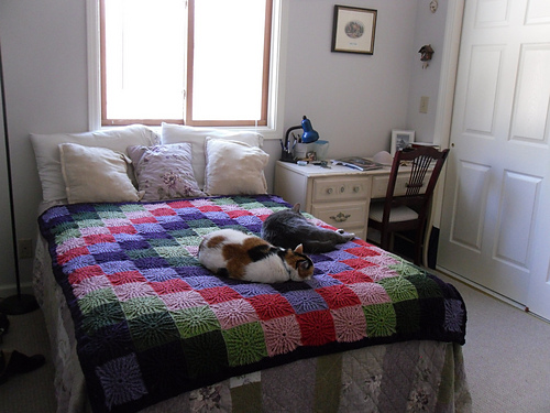 Ravelry: Magic Carpet Blanket pattern by Melisa Darnieder