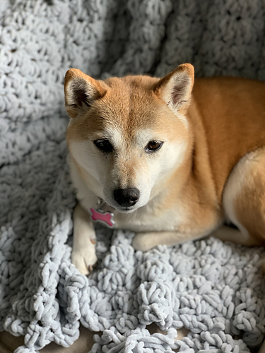 Ravelry: Brumble Chunky Throw pattern by Cyprianne Nolan