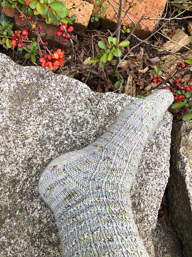 Ravelry: Tidy Socks pattern by DUCATHI
