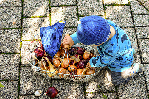 Ravelry: Little Onion Hat pattern by DUCATHI