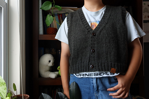 Ravelry: Campus Vest pattern by Aimee Sher