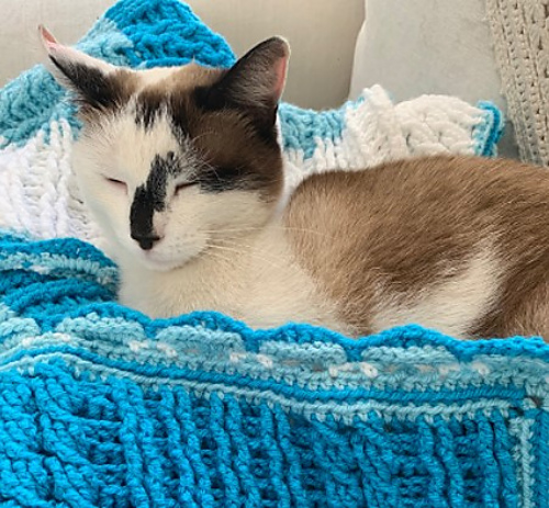 Ravelry: Bella Building Blocks Afghan pattern by Debbie Hemsley Kaltenbrunn