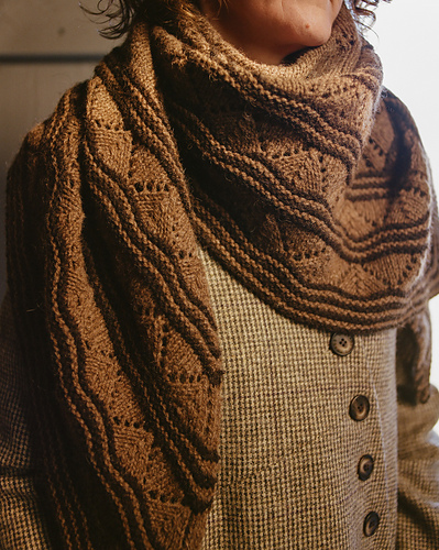 Ravelry: Leydin Shawl pattern by Donna Smith
