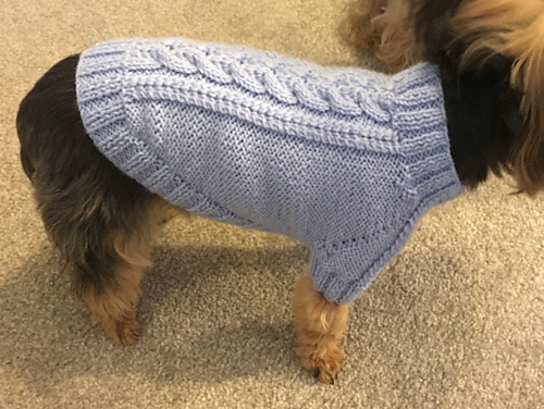 Ravelry: Sky Blue Dog Sweater pattern by Dotty Patterns