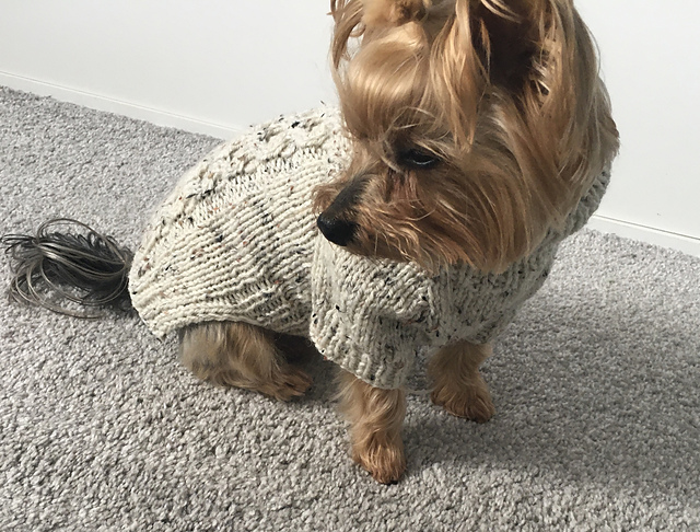 Ravelry: Tweed Dog Sweater pattern by Dotty Patterns