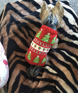 Ravelry: Christmas Dog Sweater pattern by Dotty Patterns