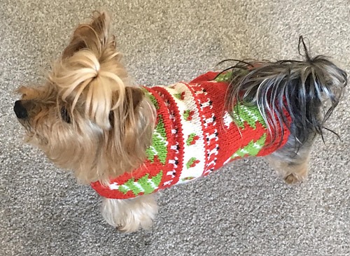 Ravelry: Christmas Dog Sweater pattern by Dotty Patterns
