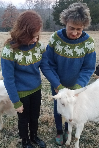 Ravelry: Old Goats Pullover pattern by Rachel Leverton
