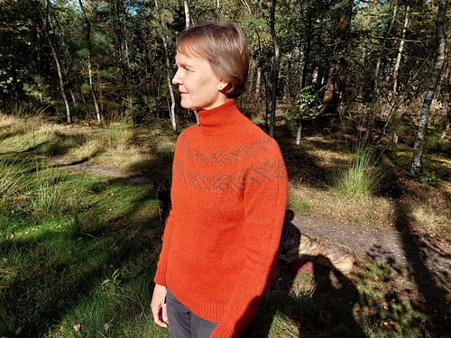 Ravelry: Reed pattern by Stefanie Schuster