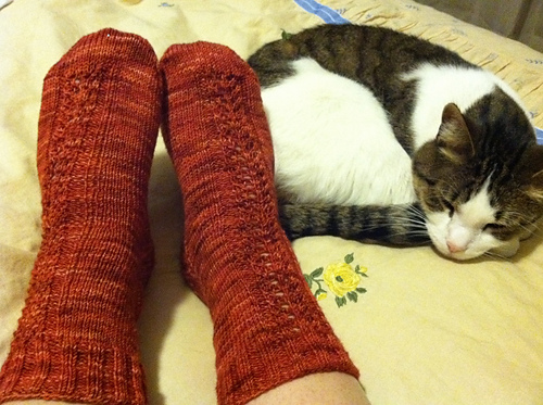 Ravelry: Ardeo Socks pattern by Sarah Buehler