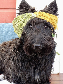 Ravelry: Twisted Leaf Headband pattern by Megane Bazinet