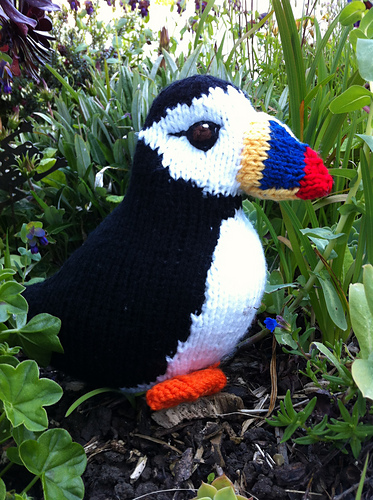 Ravelry: Puffin pattern by Sara Hall