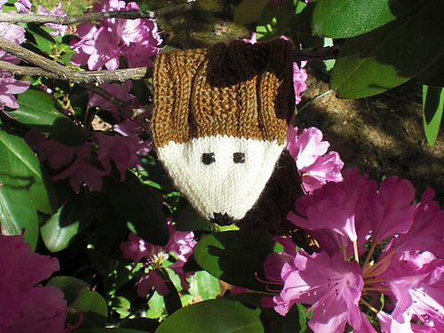 Ravelry: May 2014 Mystery Pattern pattern by Sheryl Giles