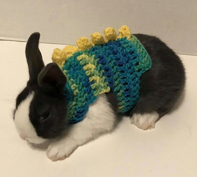 Ravelry: Rabbit Dinosaur Costume pattern by Sarah Petersen