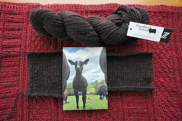 Ravelry: Zwartbles Ireland 100% Pure Irish Wool